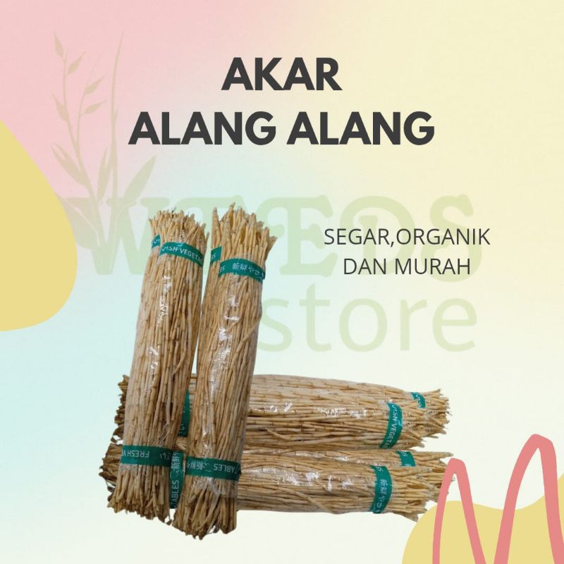 Jual Akar Alang Alang Segar Murni Hasil Alam 1KG | Shopee Indonesia