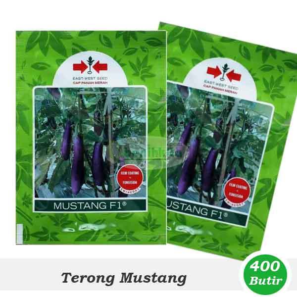 Jual Benih Terong Mustang F1 (Cap Panah Merah) | Shopee Indonesia