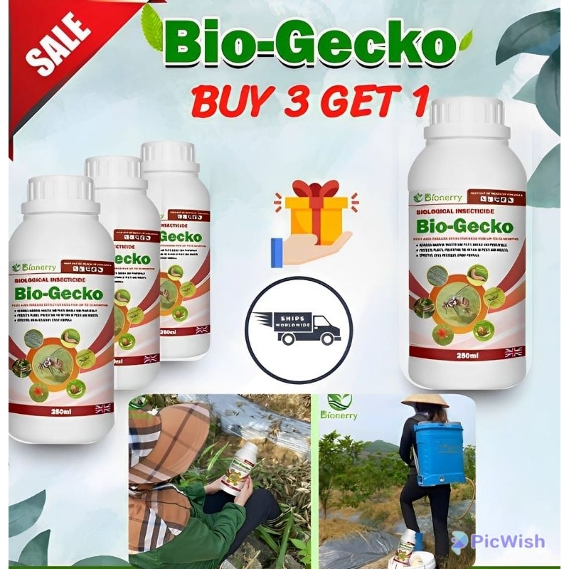 Jual Gecko Bio-Organic Insecticide | Shopee Indonesia