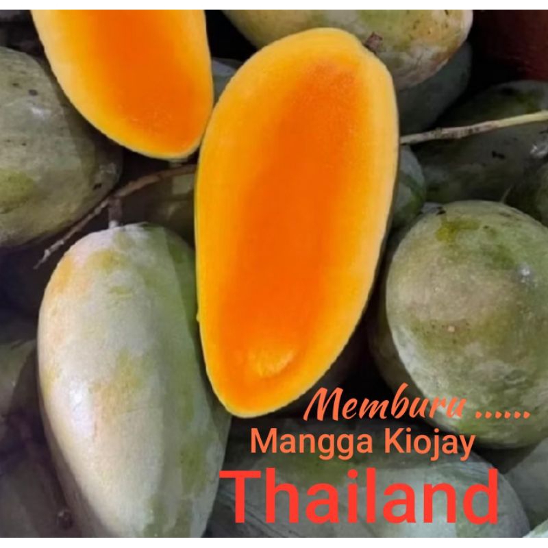 Jual MANGGA KIOJAY THAILAND MANIS ( MATANG ) | Shopee Indonesia
