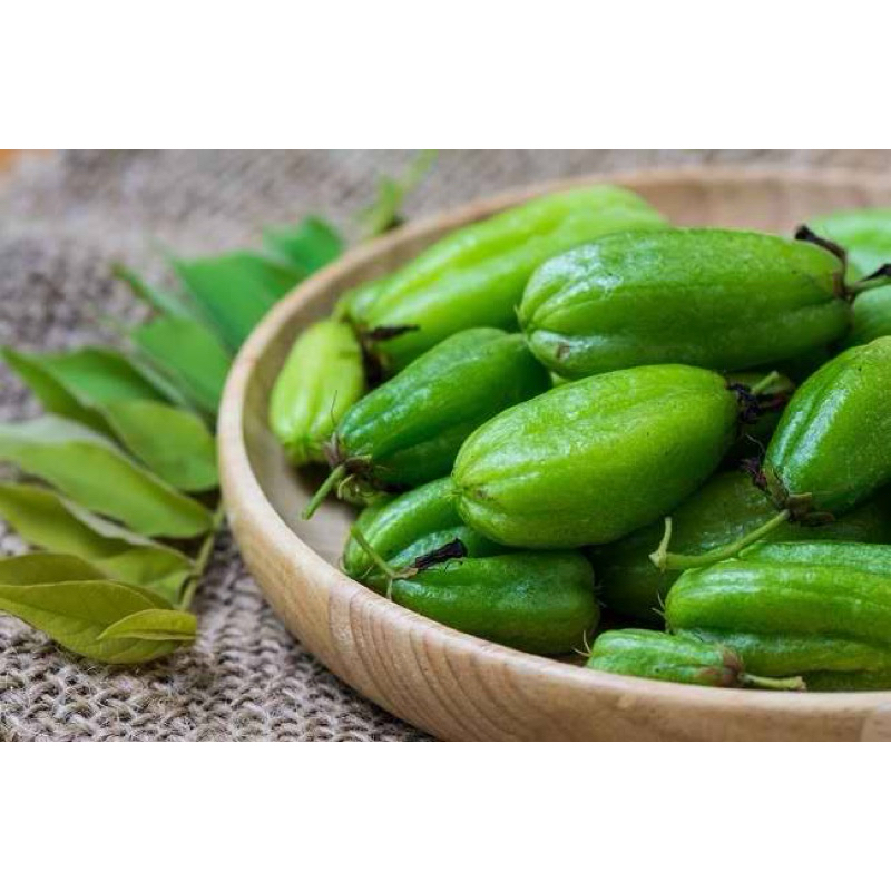 Jual (100 gr) BELIMBING WULUH BELIMBING ASAM SEGAR | BELIMBING WULUH ...