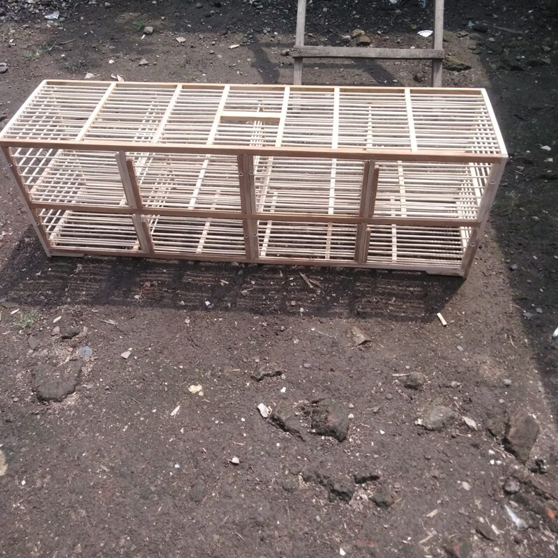 Jual DONDANG MERPATI| DONGDANG JEMUR| DONDANG ISI 4 PASANG| DONGDANG ...