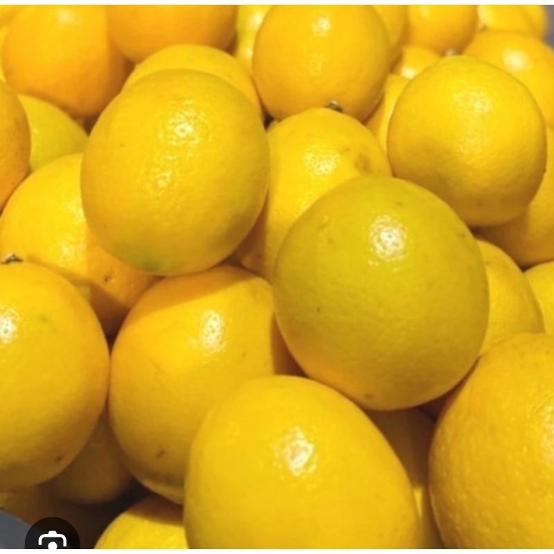 Jual Jeruk Lemon 500 gram | Shopee Indonesia