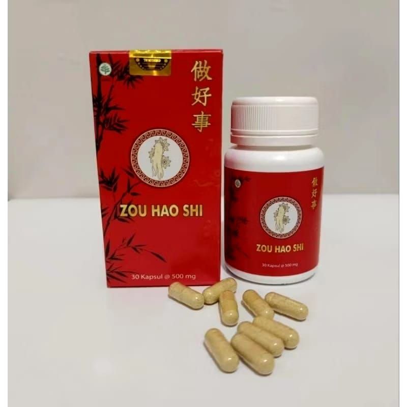 Jual Zuo Hao Shi Obat Herbal China Ginseng Atasi Nyeri Sendi & Saraf ...