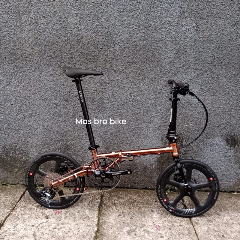 Jual sepeda lipat fnhon gust 16 discbrake carbon | Shopee Indonesia