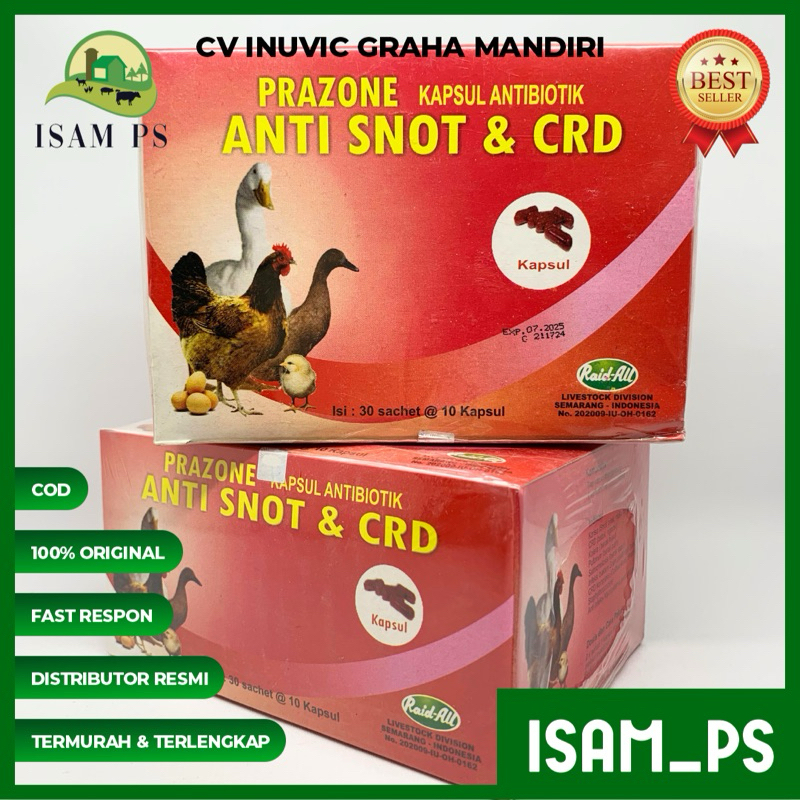 Jual PRAZONE ANTI SNOT & CRD - KAPSUL 1 Box isi 30 sachet | Shopee ...