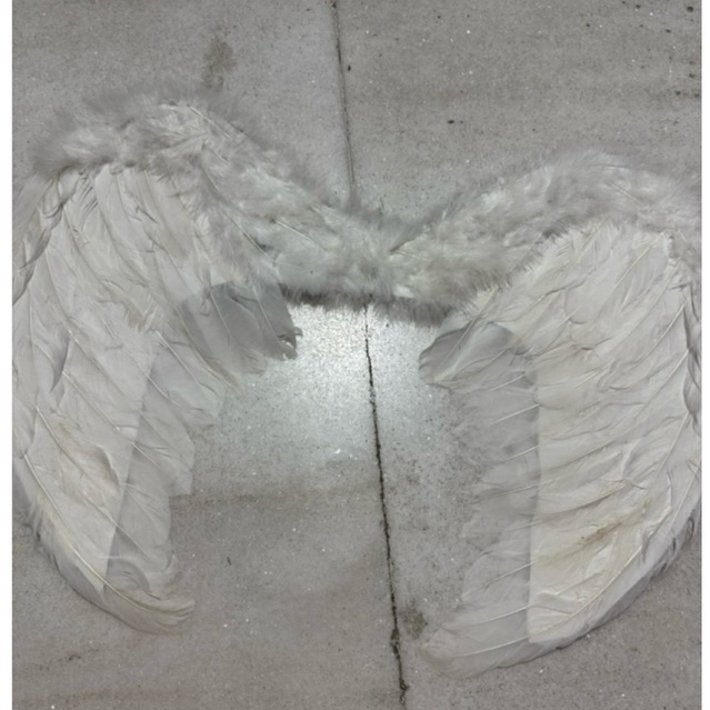 Jual angel wings sayap malaikat sayap bulu sayap angel putih | Shopee ...