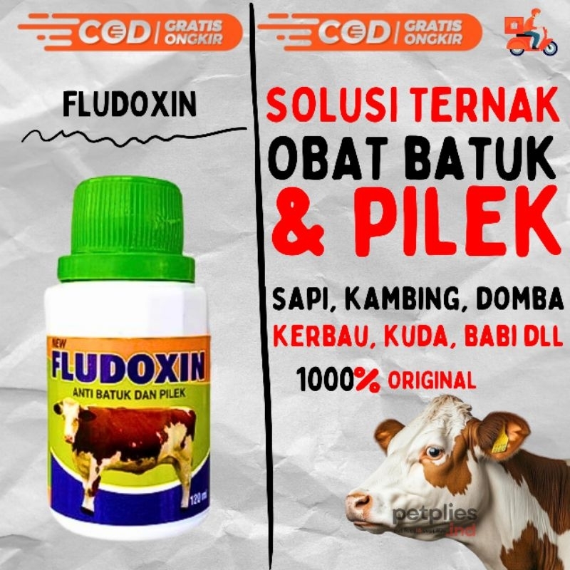 Jual FLUDOXIN 120 ML - NEW ORIGINAL OBAT FLU SAPI KERBAU KAMBING DOMBA ...