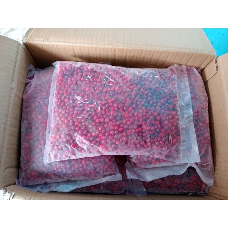 Jual IQF Frozen Cranberry 1 kg | Shopee Indonesia