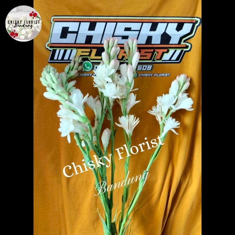 Jual BUNGA SEDAP MALAM FRESH GRIDE C | Shopee Indonesia