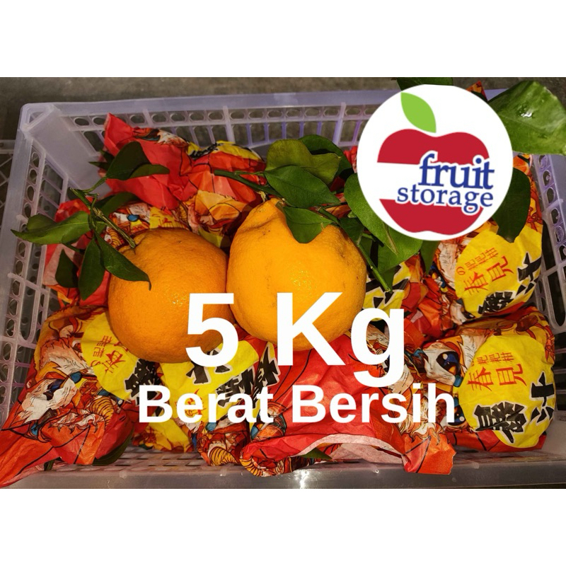 Jual Jeruk Dekopon Papagan Sumo Chunjian Ponkam Premium Giftpack Gift ...