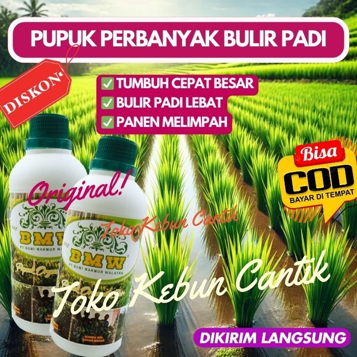 Jual Obat Cair Padi BMW 500ML - Obat Pertumbuhan Padi Agar Cepat Panen ...