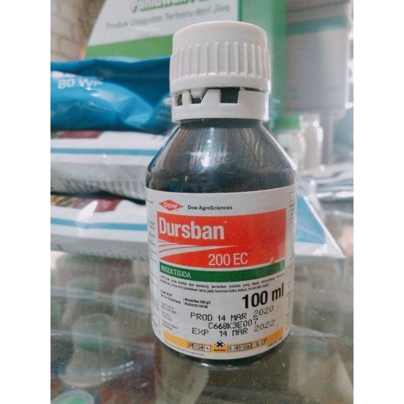 Jual Insektisida Dursban 200 EC 100ml | Shopee Indonesia