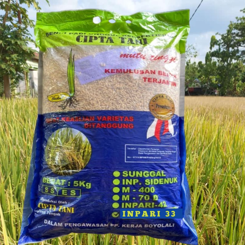 Jual Benih padi inpari 33 Cipta Tani 5kg | Shopee Indonesia