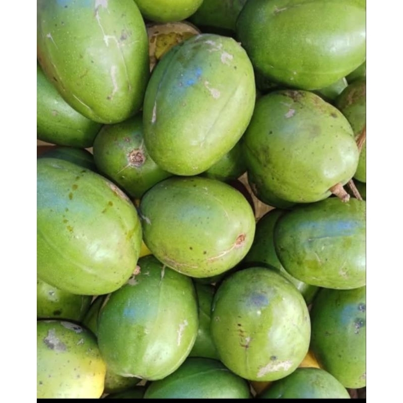 Jual kedondong 1kg | Shopee Indonesia