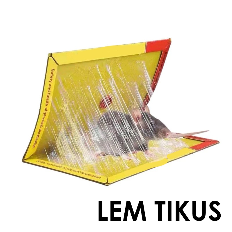 Jual Lem Tikus Model Buku Jebakan Pelengket Hama Kecoa Perangkap Cicak ...