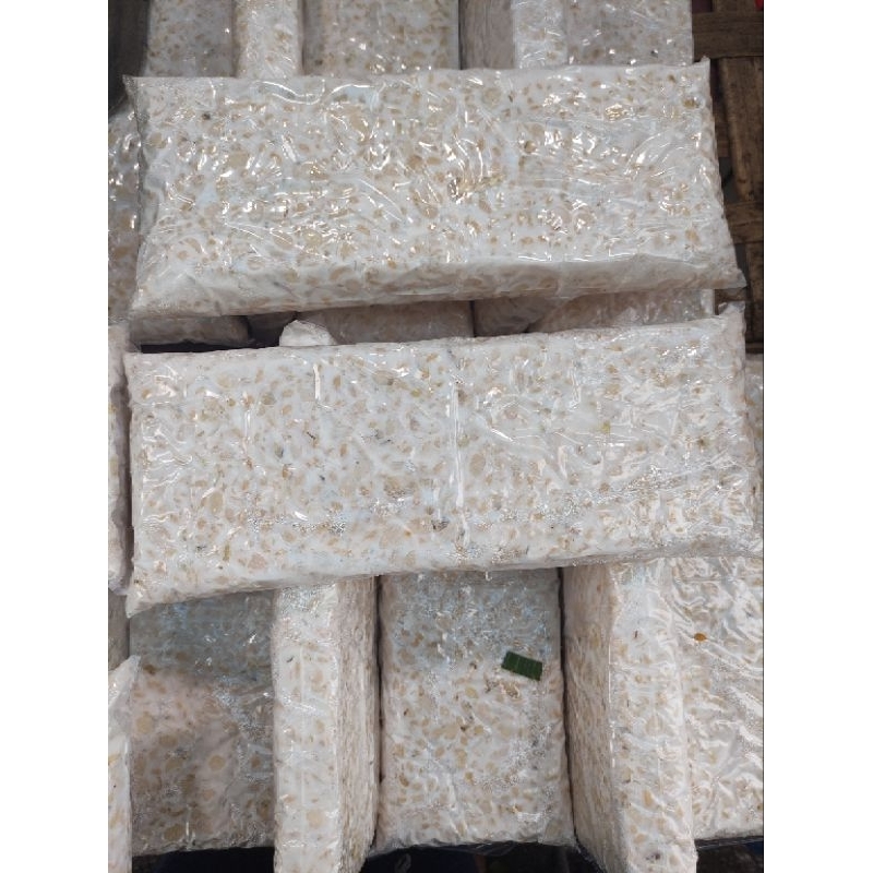 Jual tempe bungkus plastik ukuran besar 1 papan | Shopee Indonesia