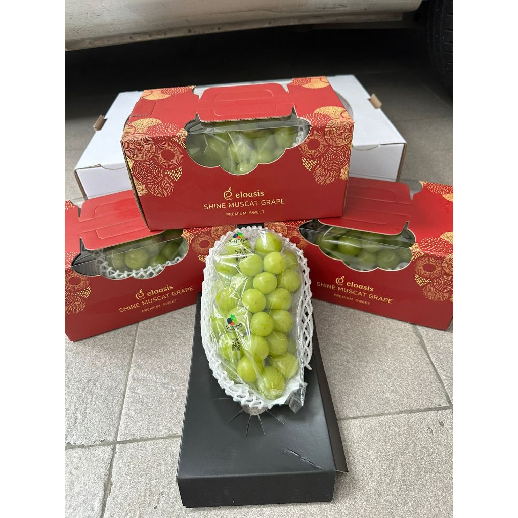 Jual Anggur Shine Muscat Korea 1 Dus (4 Pack) Fresh Import | Shopee ...
