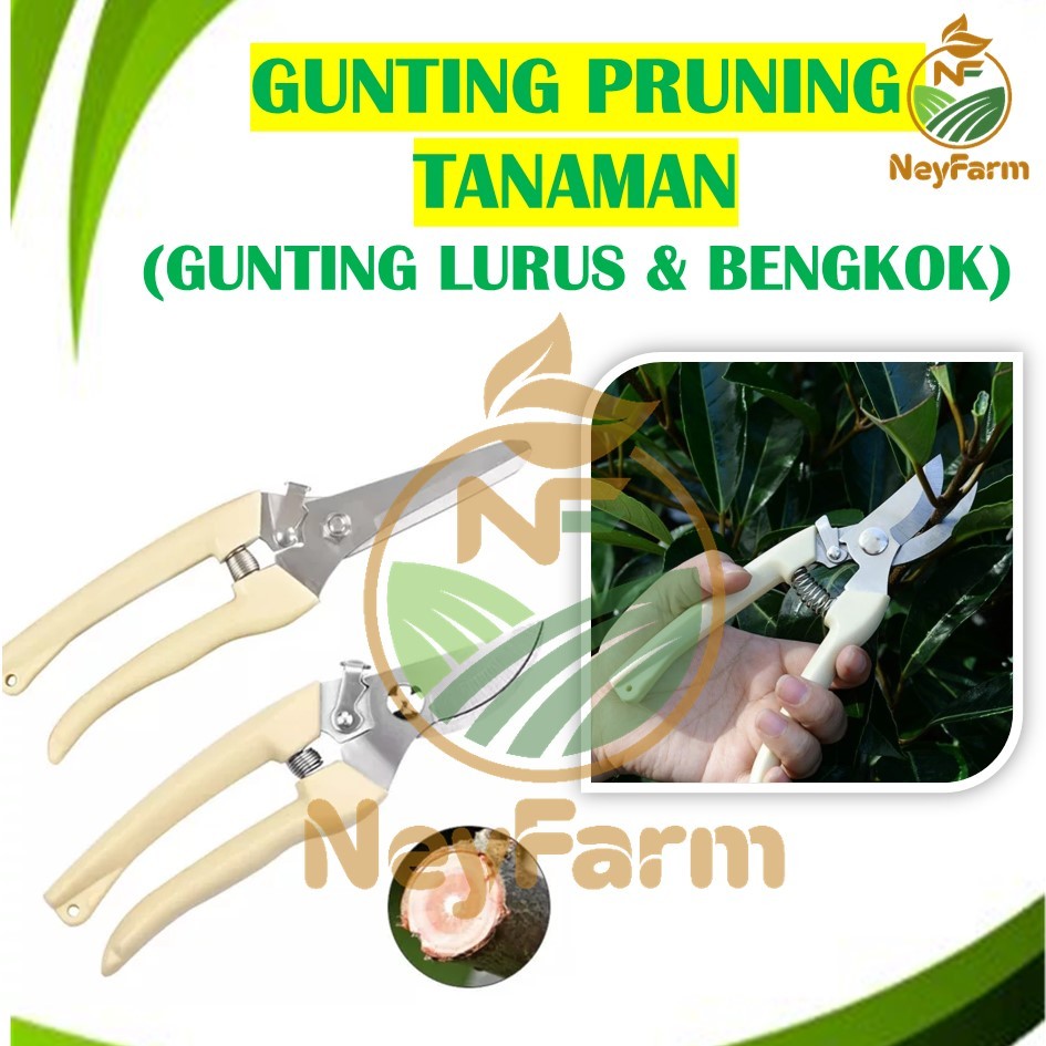Jual Gunting Pruning / Gunting Tanaman (Gunting Lurus & Gunting Bengkok ...