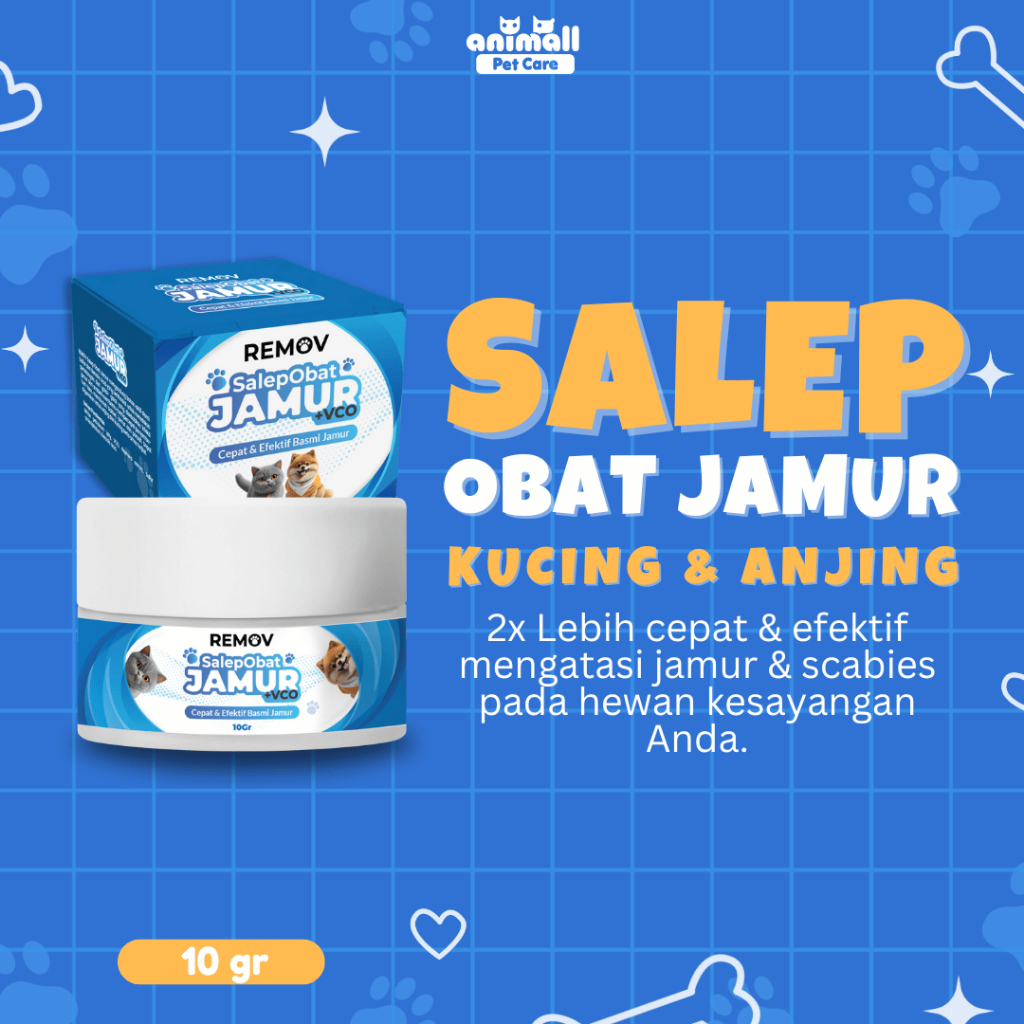 Jual Obat Salep Jamur Kucing dan Anjing Efektif Mengatasi Gatal Luka ...