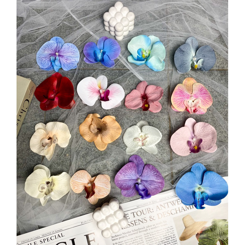 Jual KELOPAK BUNGA ANGGREK BAHAN LATEX & KAIN LUKIS BUNGA ANGGREK ...
