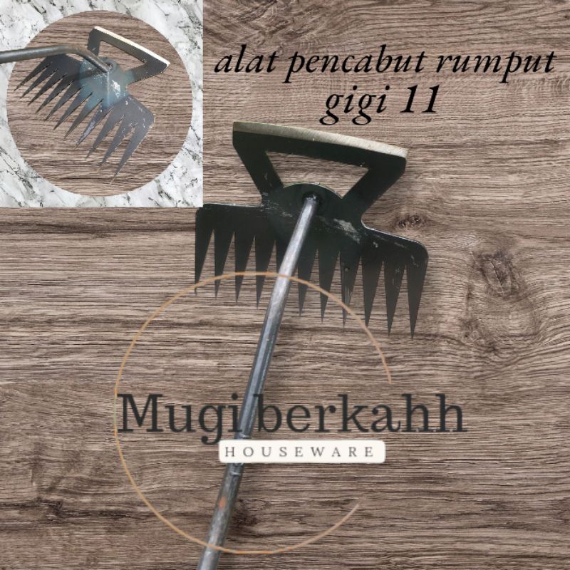 Jual Alat Pencabut Rumput Gigi 11 – Gagang 40cm/65cm, Cocok Taman ...