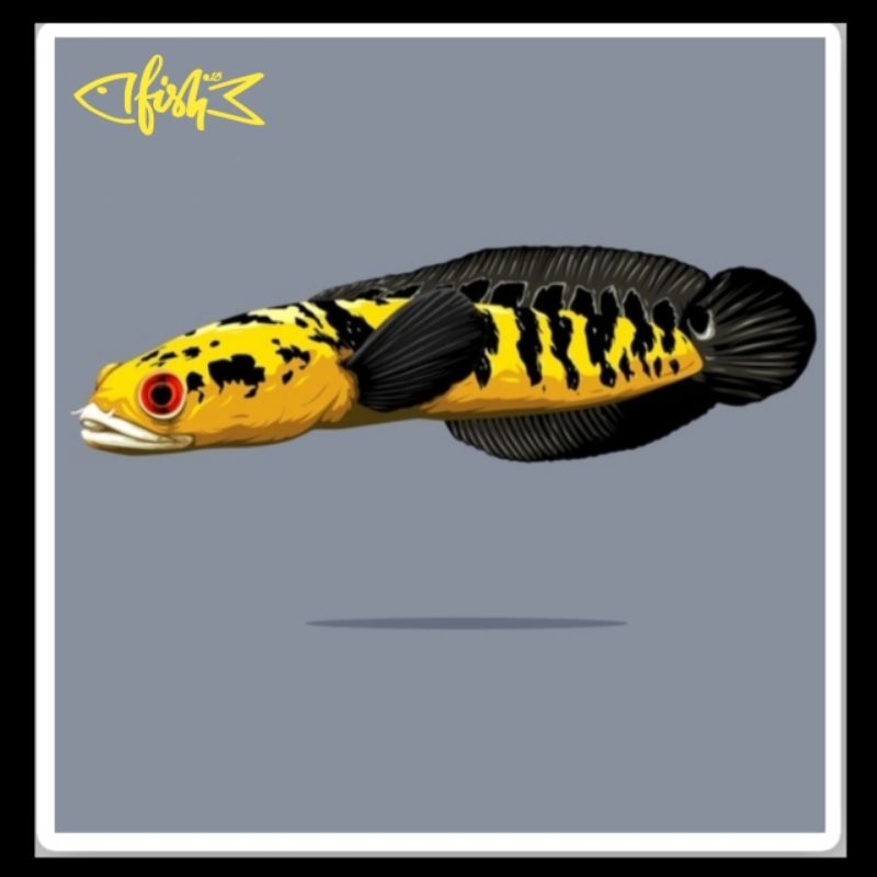 Jual stiker yellow sentarum | Shopee Indonesia