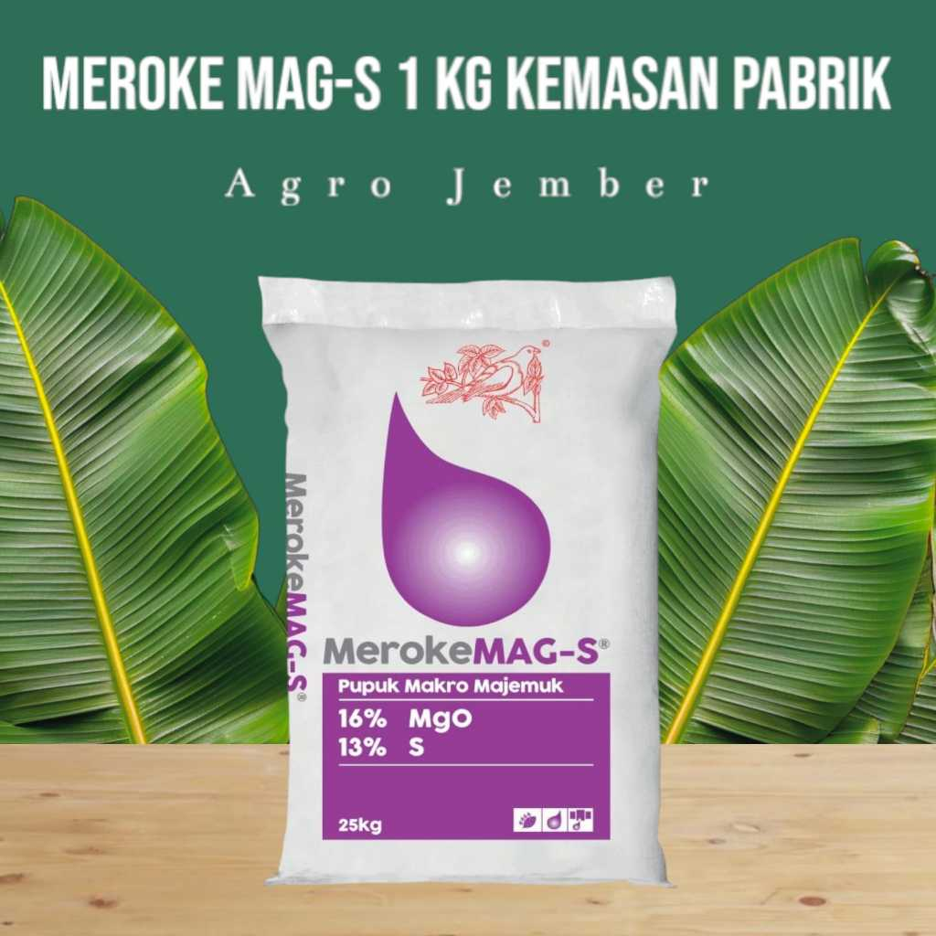 Jual Pupuk MEROKE MAG-S - 1 KG KEMASAN Pabrik | Shopee Indonesia