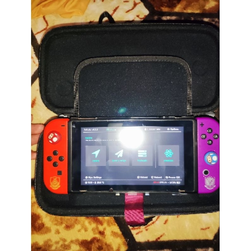Jual Nintendo switch cfw v2 256Gb | Shopee Indonesia