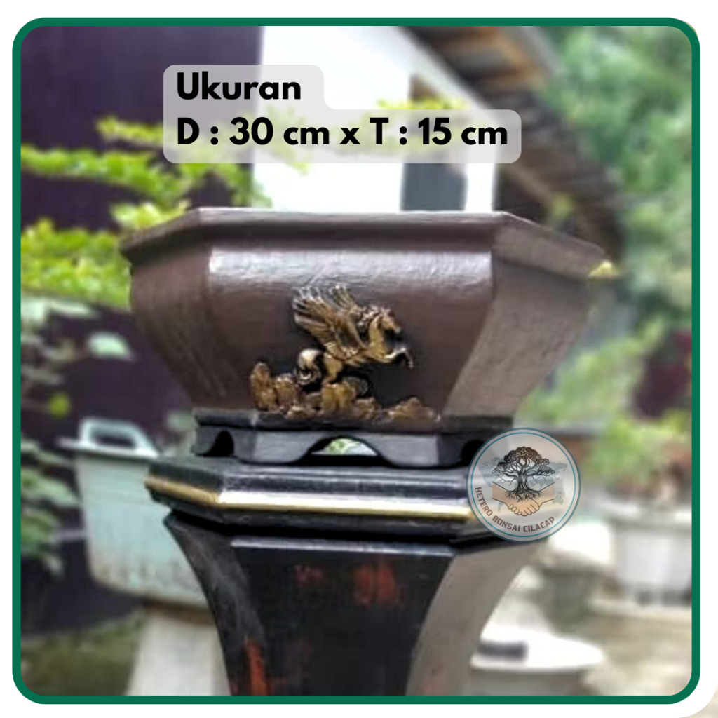 Jual POT BONSAI SEMEN MOTIF UNIK SEGI ENAM RELIEF | Shopee Indonesia