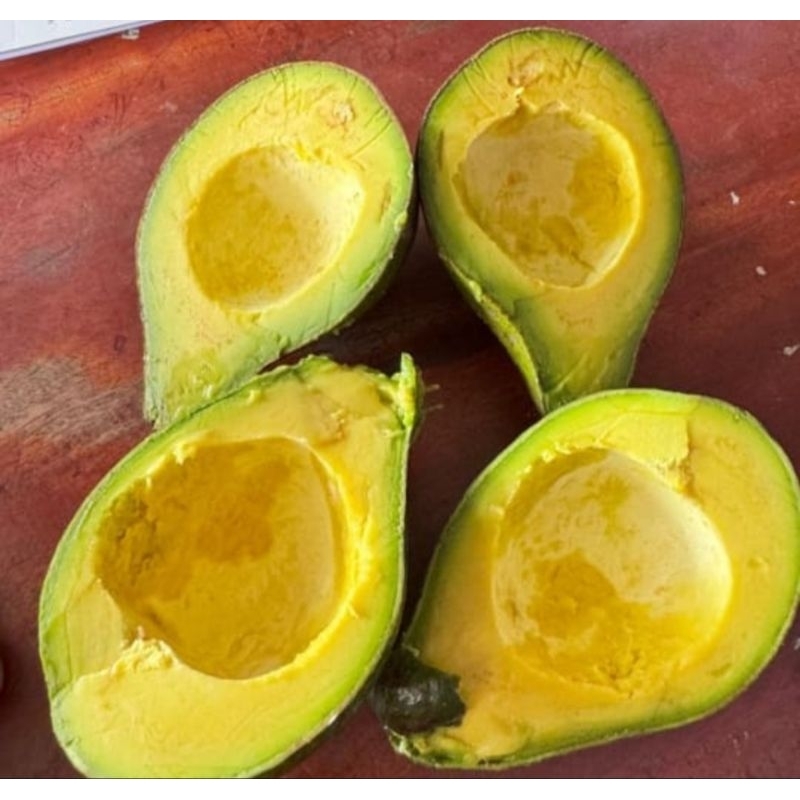 Jual ALPUKAT MENTEGA 1KG KUNING, MURAH KUALITAS BAGUS | Shopee Indonesia