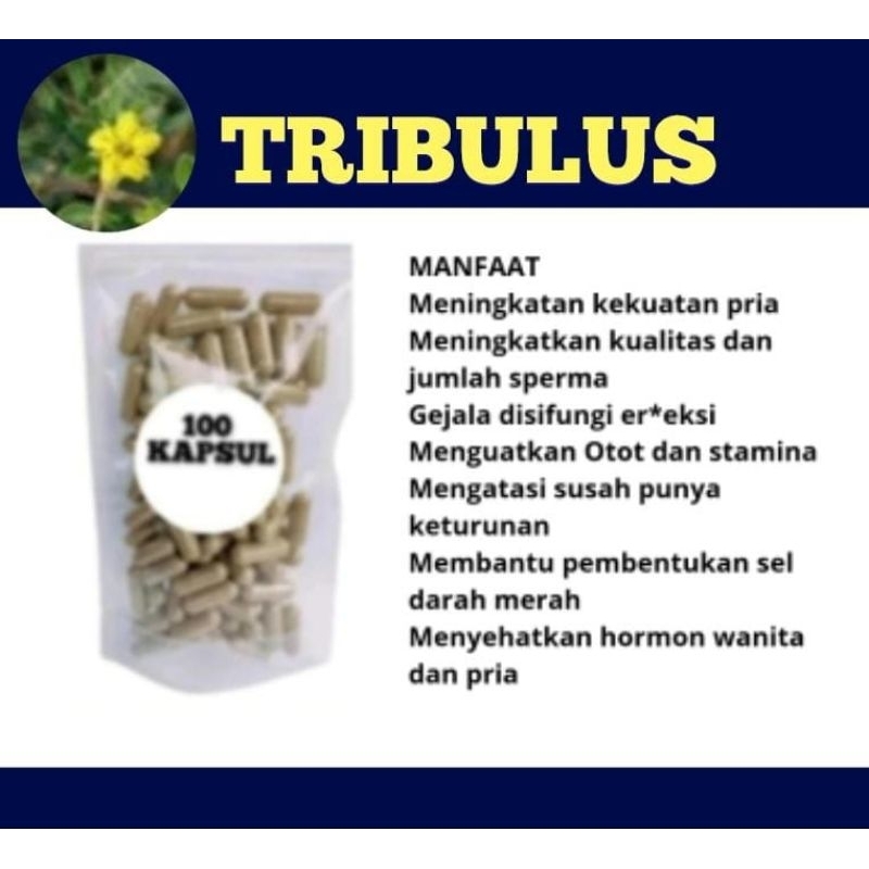 Jual TRI-BULUS KAPSUL HERBAL CURAH 100 | Shopee Indonesia