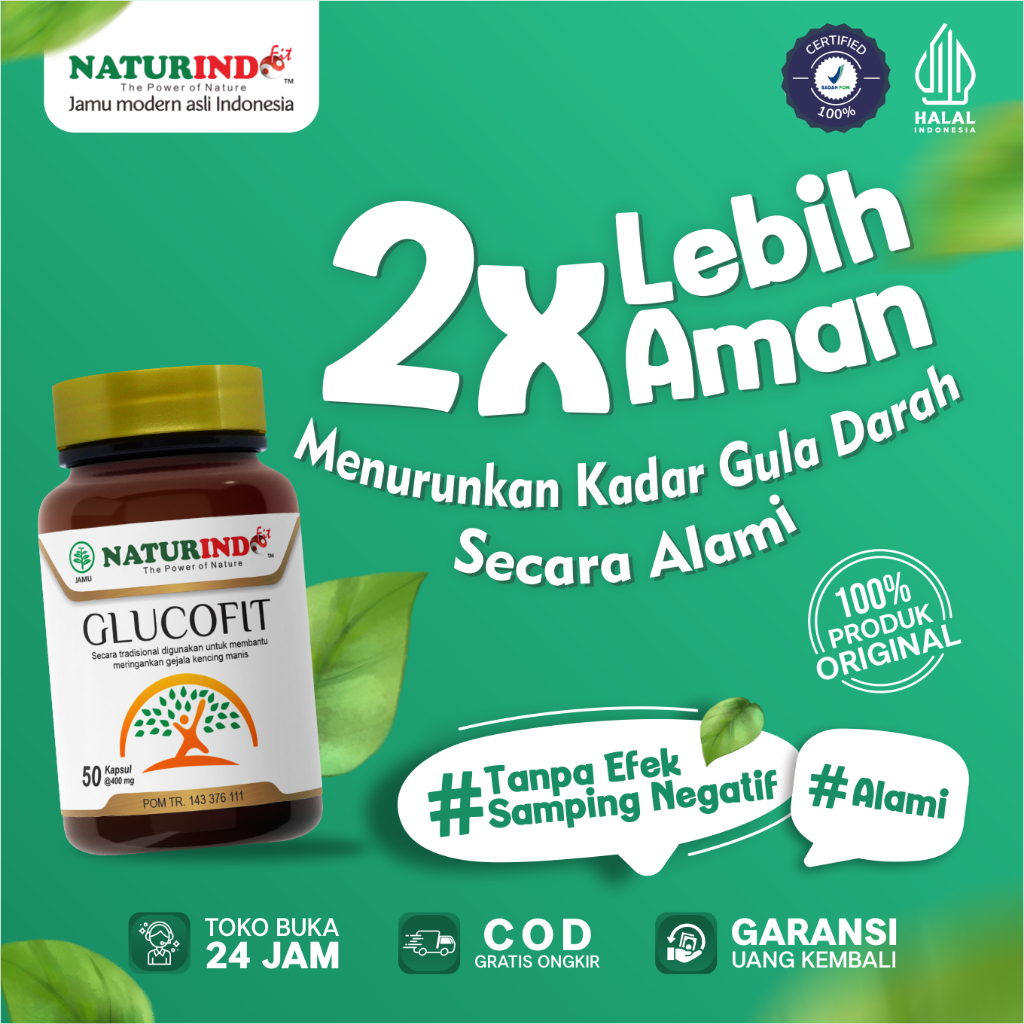 Jual Obat Herbal Diabetes Diabet Penurun Kadar Gula Darah Tinggi ...