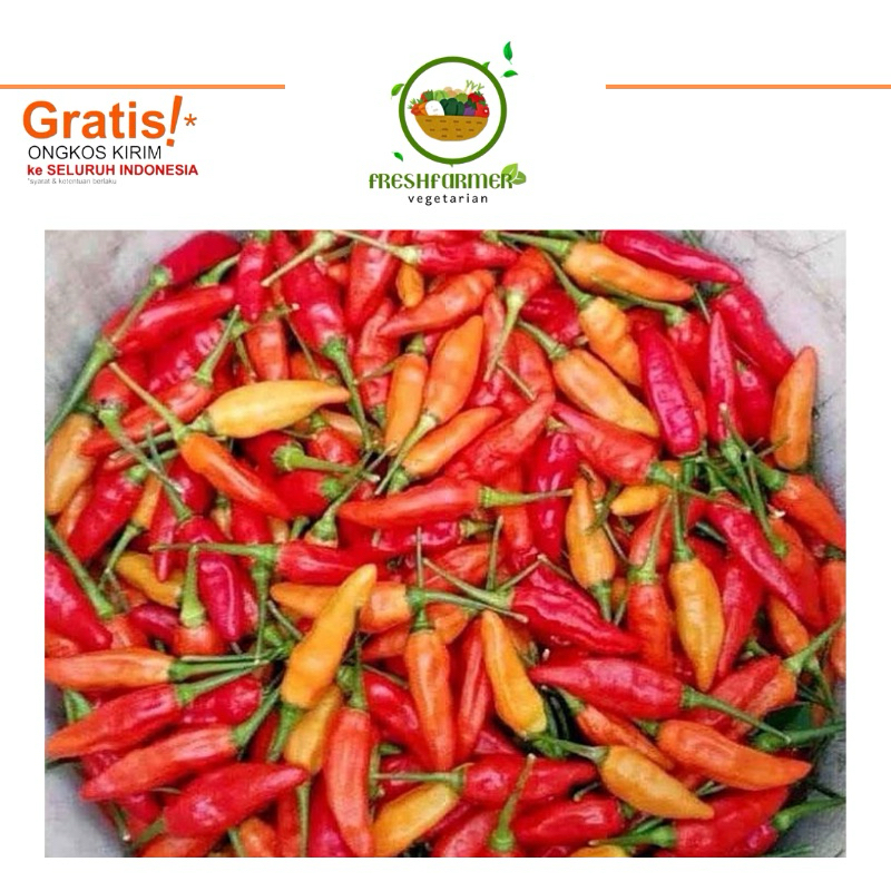 Jual lombok cabe rawit sedang 1kg | Shopee Indonesia
