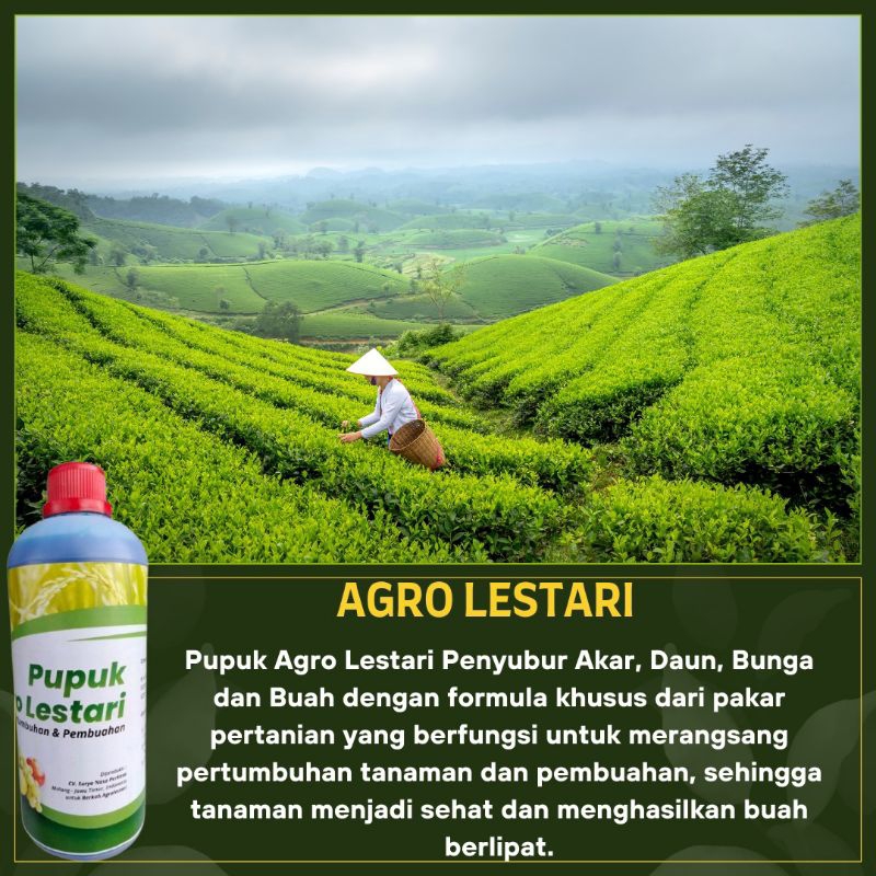 Jual Pupuk Agro Lestari Pupuk Penyubur dan Pelebat Buah | Shopee Indonesia