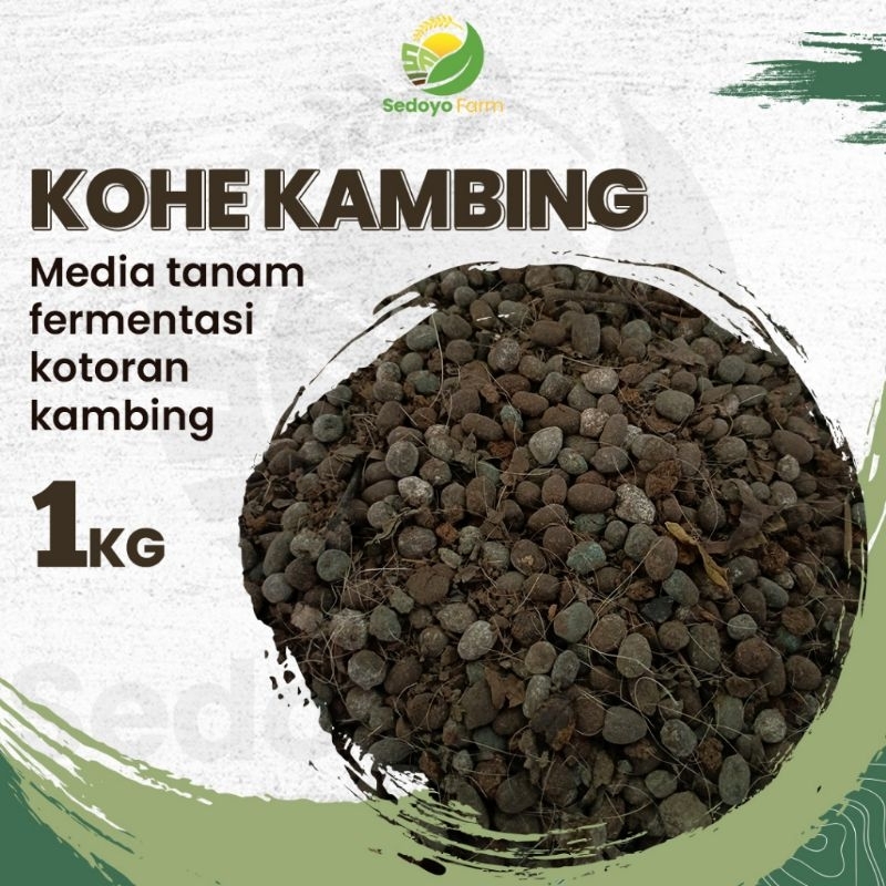 Jual kompos premium tidak bau kohe fermentasi premium bernutrisi tinggi ...