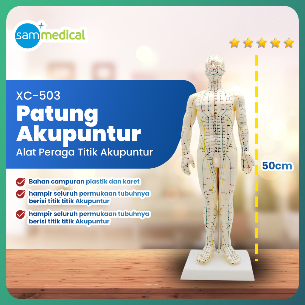 Jual Patung Akupunktur / Peraga Akupuntur / Boneka Akupuntur | Shopee ...