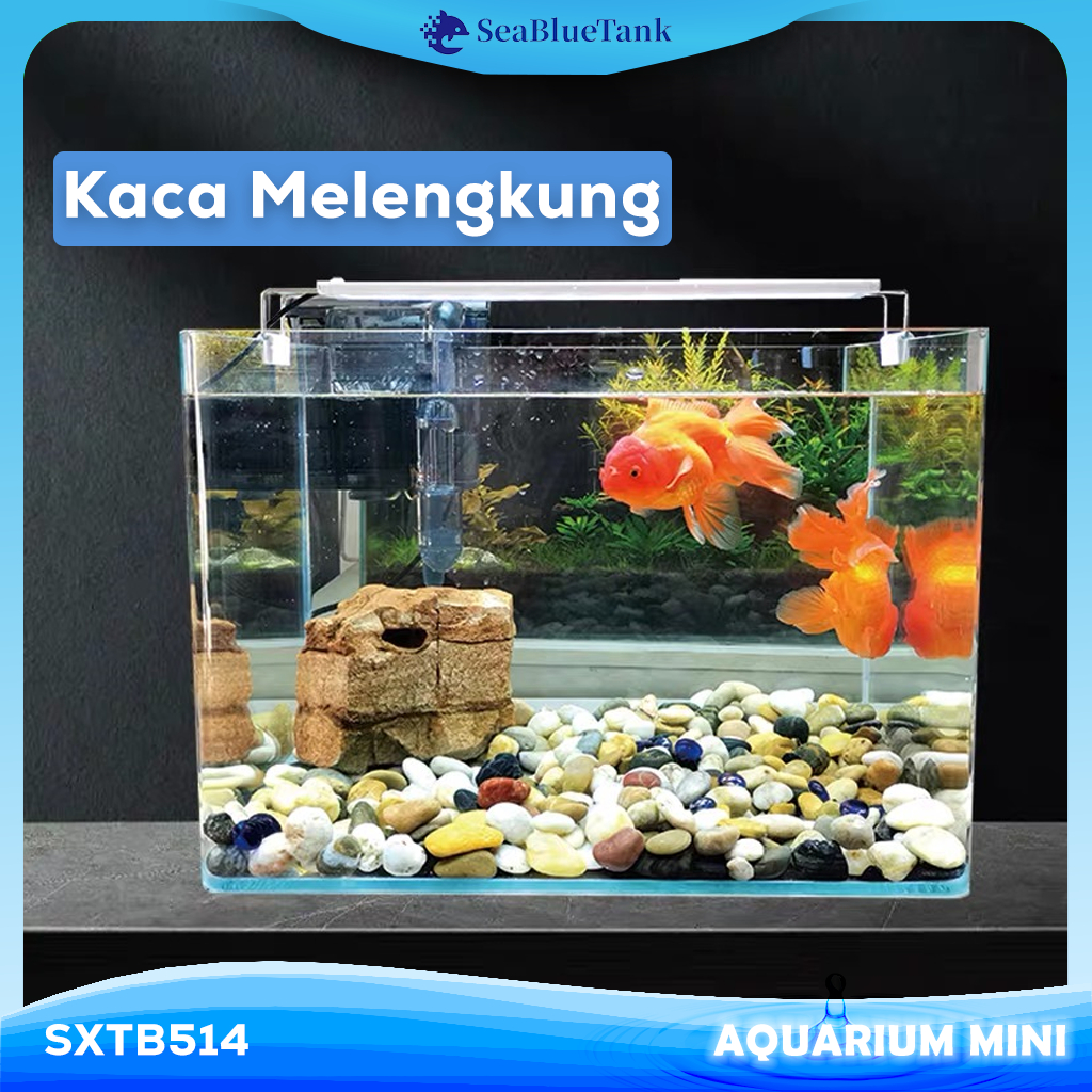 Jual SBT Akuarium Ikan SXTB514 (30/35/40/50/60 cm) Tangki Ikan Mini dengan bahan kaca super ...