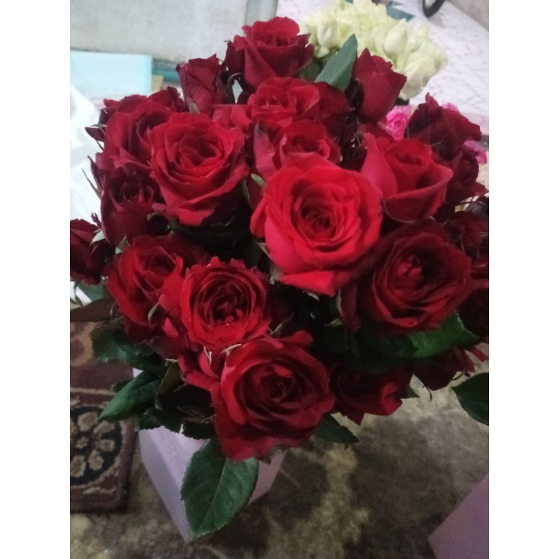 Jual fresh flower mawar merah 5 tangkai | Shopee Indonesia