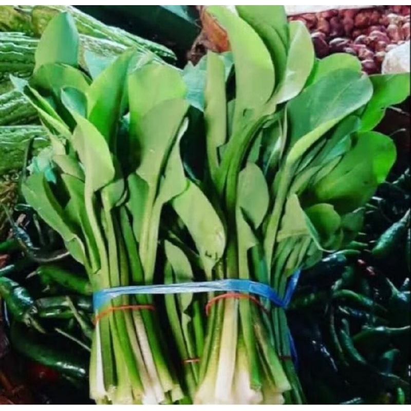Jual Daun genjer sayur segar satu ikat | Shopee Indonesia