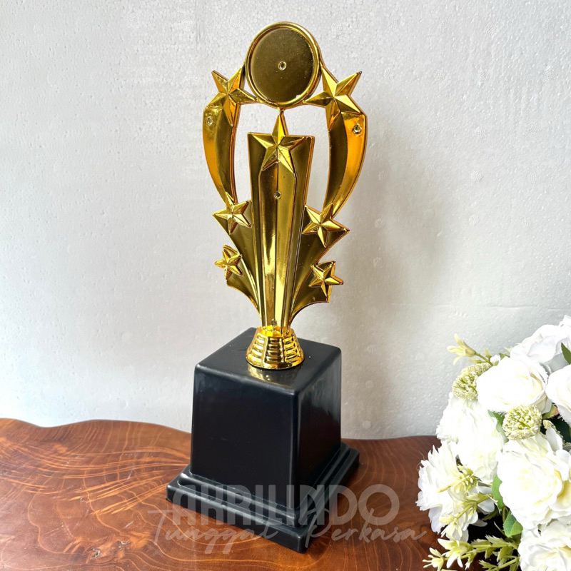 Jual Piala Murah Bintang Tinggi 30 cm Piala Juara Sekolah ( Ready 40 ...