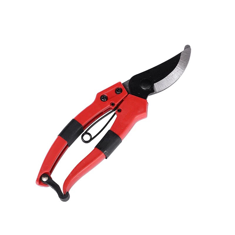 Jual Ranting Tanaman / Gunting Dahan / Ranting Bunga | Shopee Indonesia