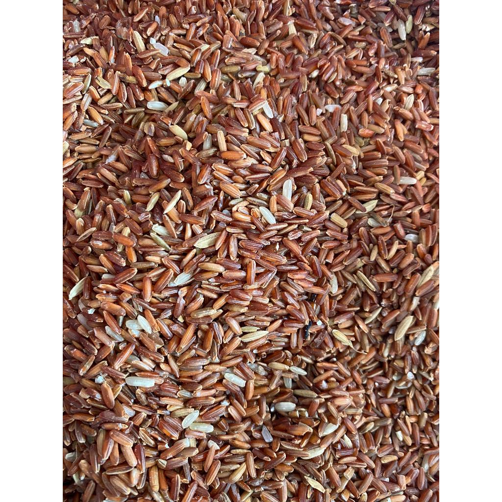 Jual beras merah premium kemasan 1kg | Shopee Indonesia