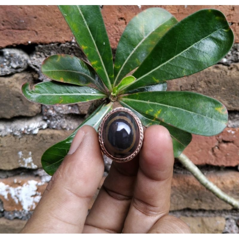 Jual Batu badar besi semeru lumajang asli pamor bungkem urat emas batu ...