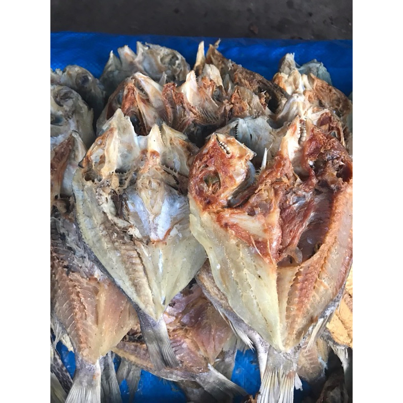 Jual Ikan Katamba Belah/Ombang 1Kg (Ikan asin) | Shopee Indonesia