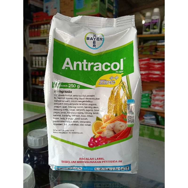 Jual Fungisida Antracol 70 WP 1 Kg Obat Racun Embun Tepung Bercak Daun ...