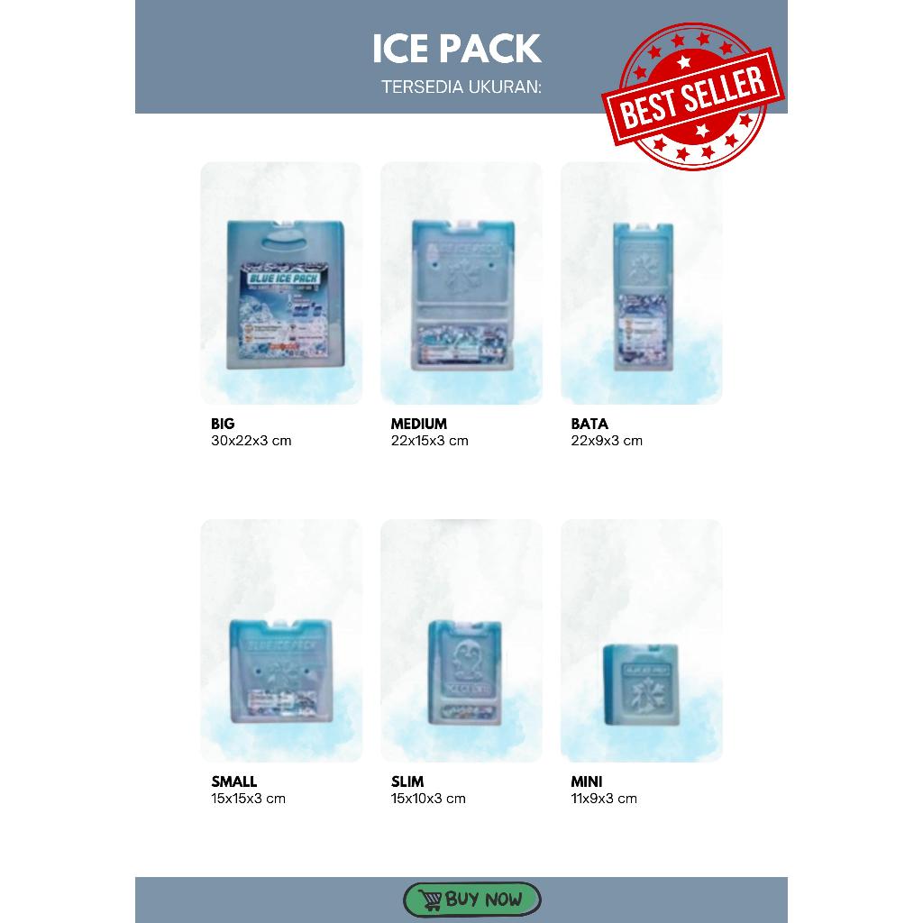 Jual ICE PACK PENGGANTI DRY ICE ICE GEL PACK THERMAFREEZER BLUE ICE ...