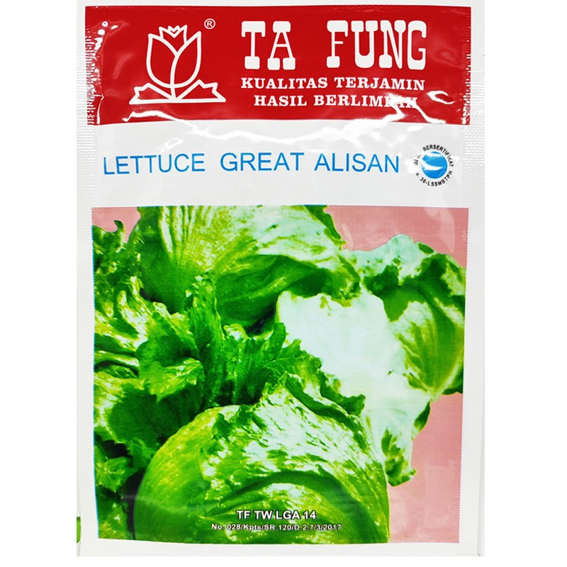 Jual Benih Selada Krop Head lettuce Great Alisan Ta fung. | Shopee ...
