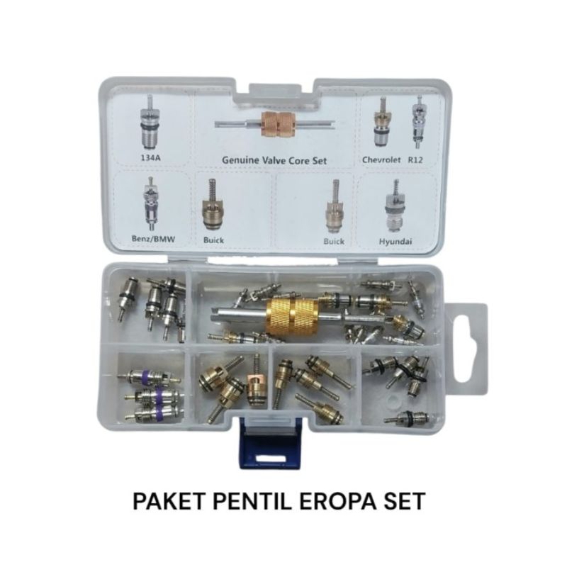 Jual Paket Pentil AC Mobil Eropa Pentil Hyundai Chevrolet Buick BMW ...