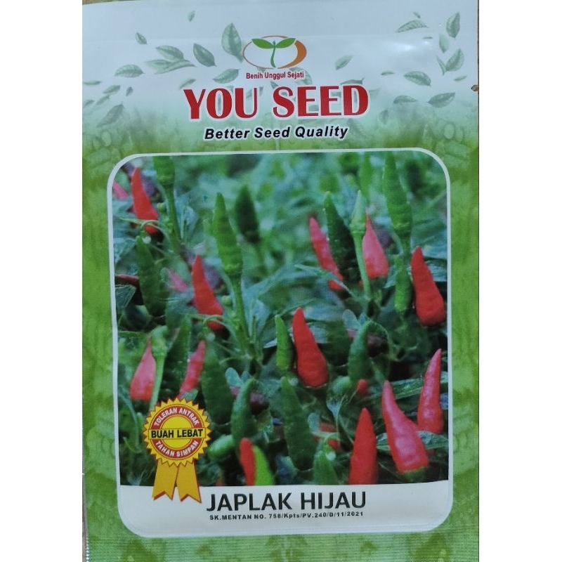 Jual Benih Rawit JAPLAK HIJAU you seed(bisa COD) | Shopee Indonesia